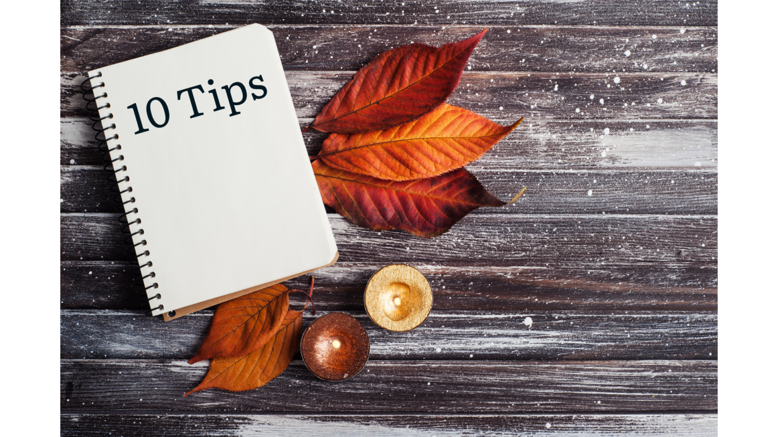 10 Tips on How to Plan a Science Field Trip - The Field Trip Academy