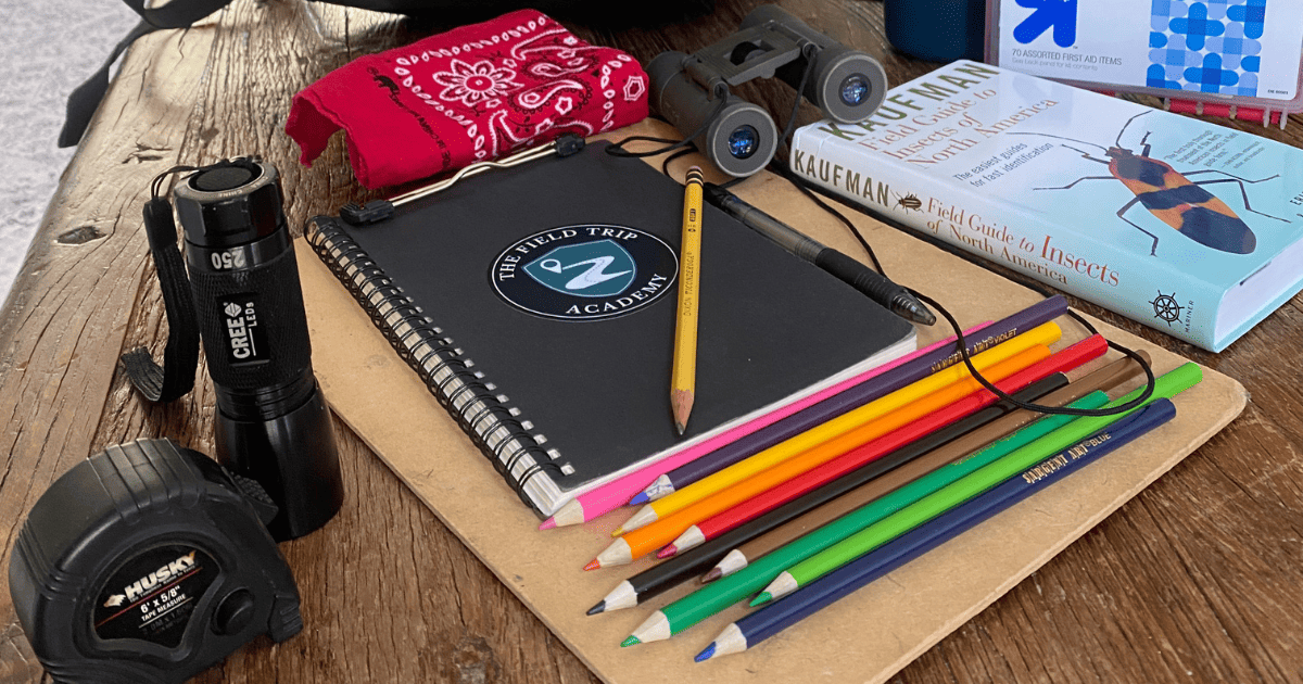 Nature Study: Tips & Tricks for Success In a Multiage Homeschool - The ...