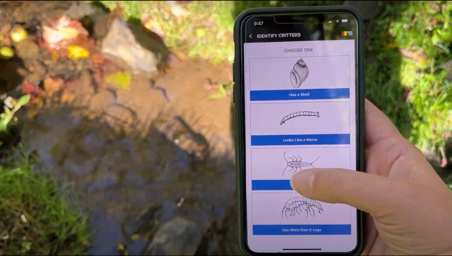 Macroinvertebrate Exploration: Hands-On Learning for All Ages - The ...