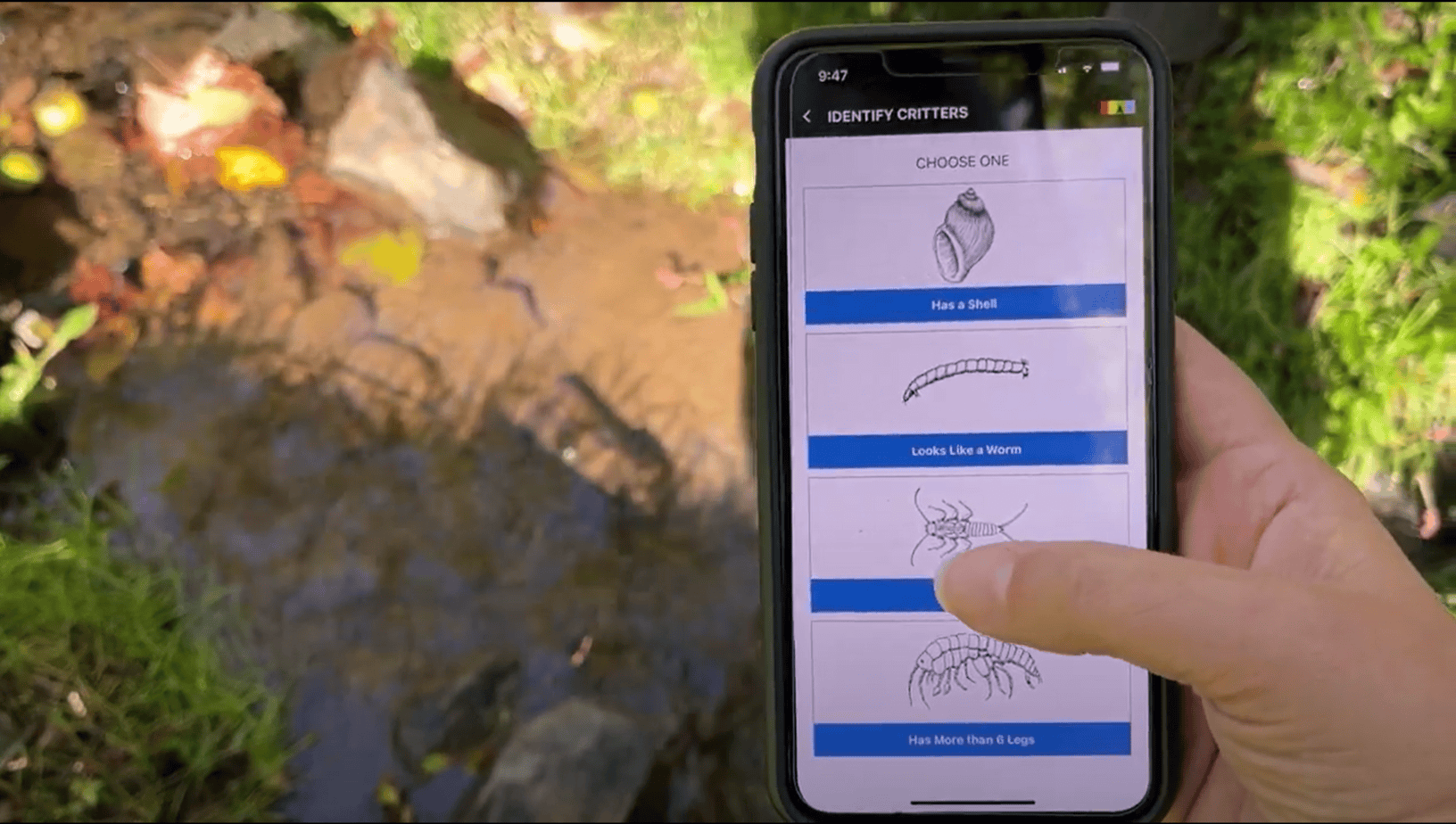 Macroinvertebrate Exploration: Hands-On Learning for All Ages - The ...